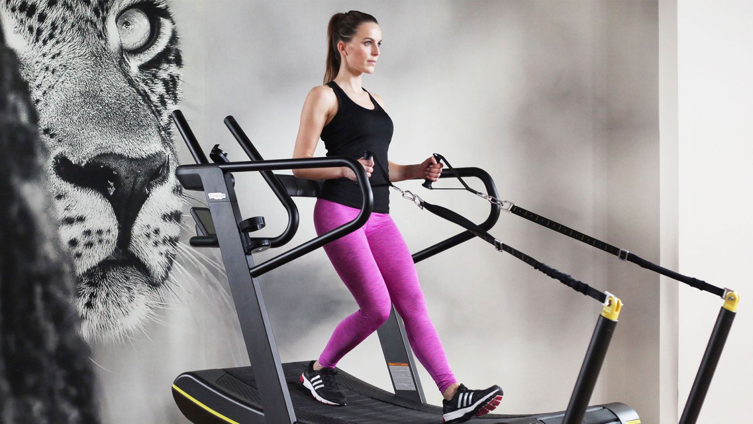 Hansefit in Hannover: Premium Fitness & Wellness erleben